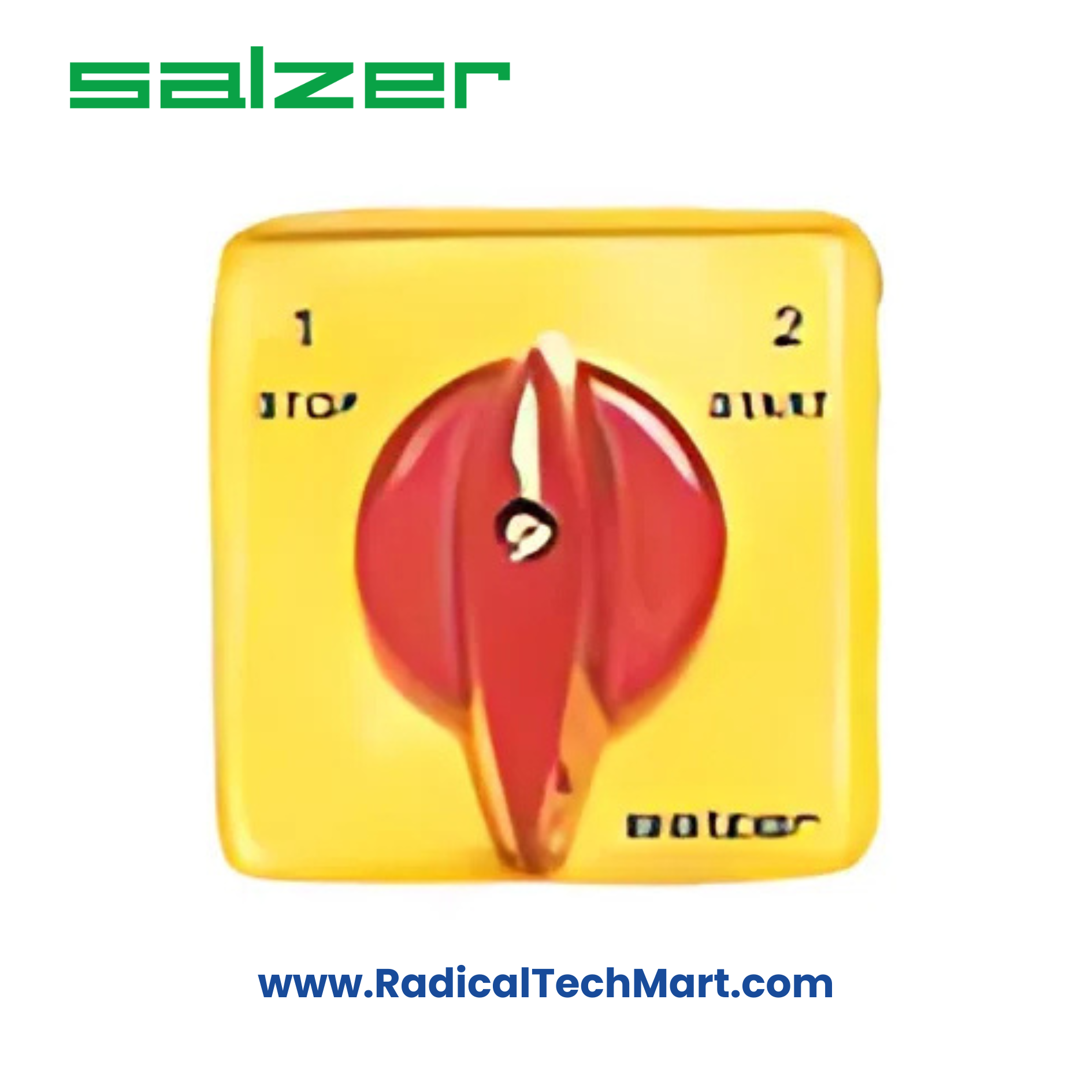 Salzer Start Stop Spring Return Switches: Reliable and Durable Control ...